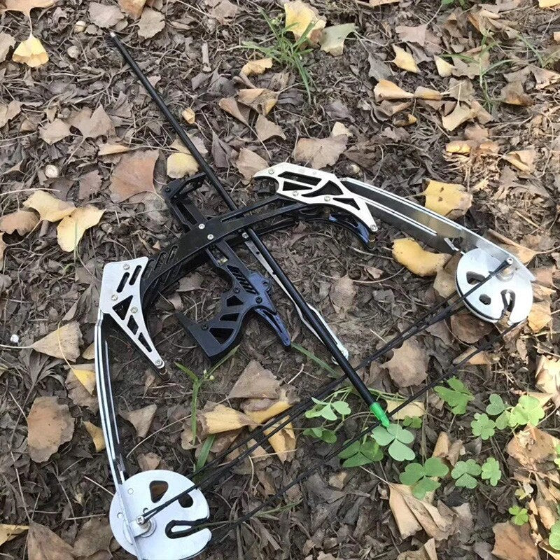25lbs Mini Compound Bow And Arrow Set | Alcove Archive