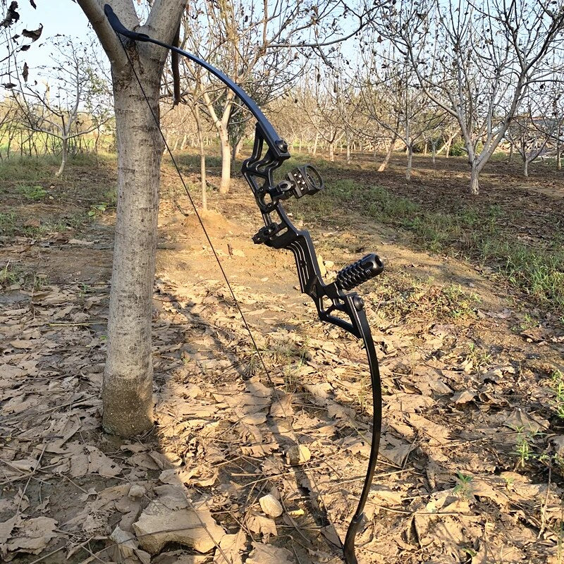 Left and Right Hand Reverse Bow - Recurve Archery Bow – Alcove Archive